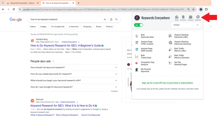 How to Use Keywords Everywhere (Step-by-Step Guide) – Keywords ...